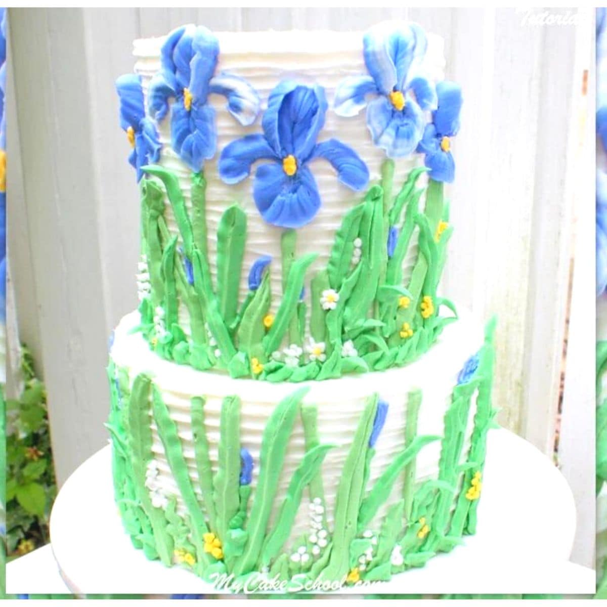Buttercream Irises- A Video Tutorial - My Cake School