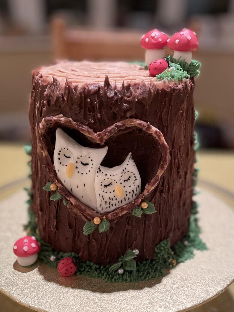 Sweet Woodland Owls Cake - My Cake School