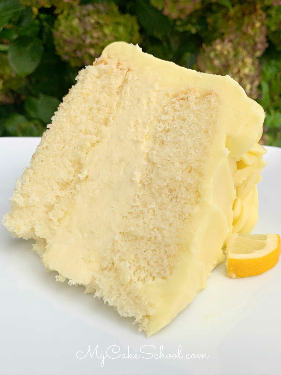 Lemon Cheesecake Cake - My Cake School