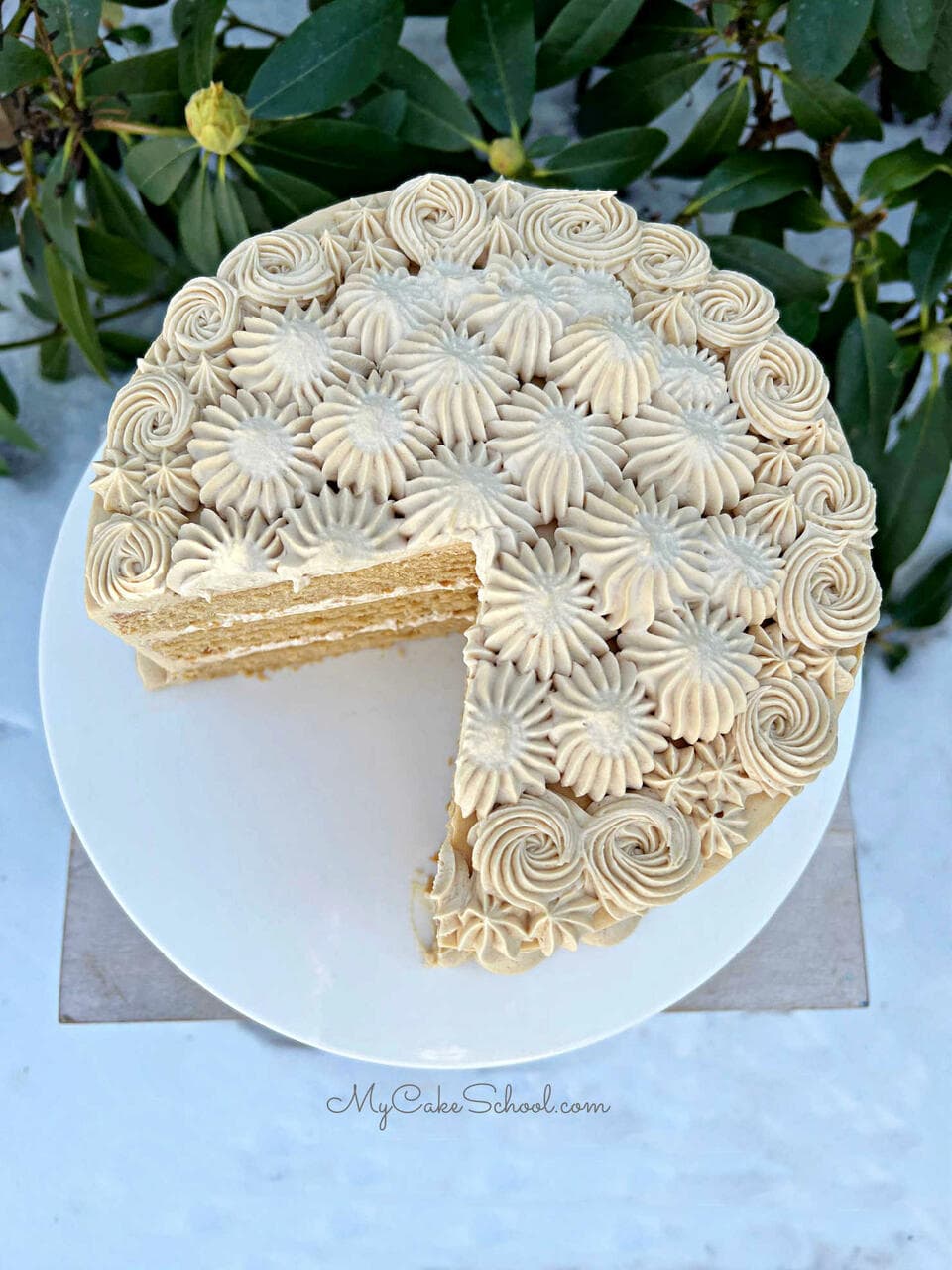 Espresso Layer Cake - My Cake School