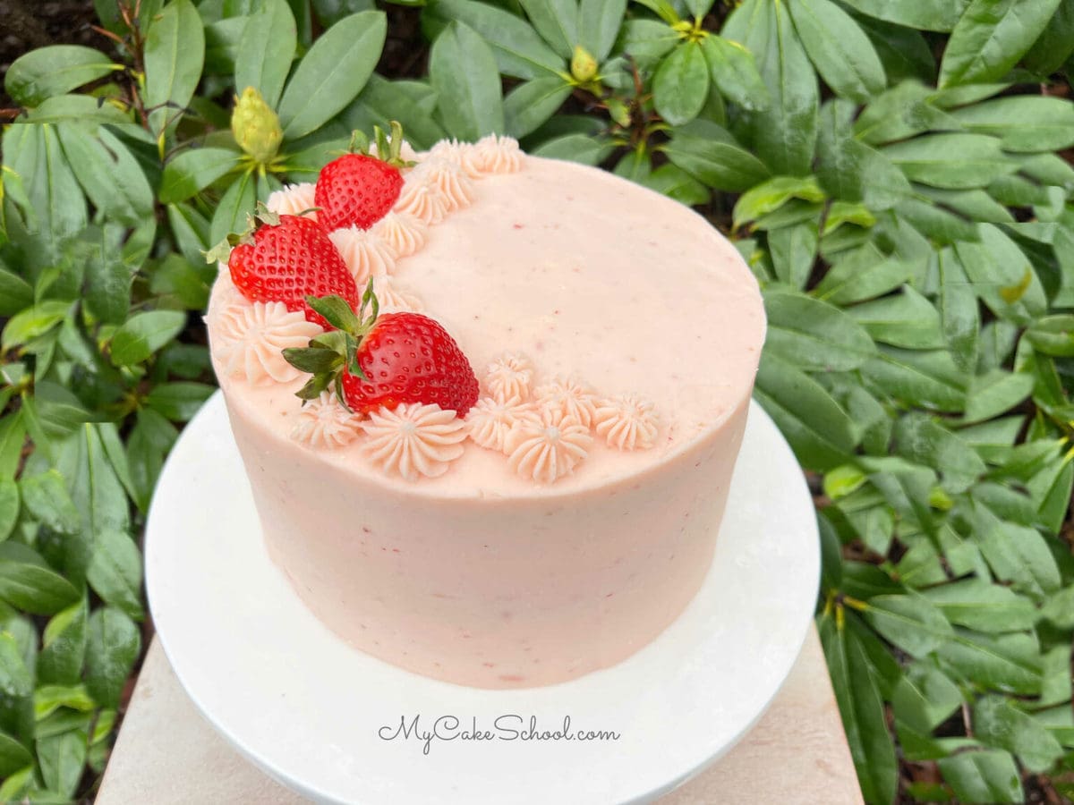 Homemade Strawberry Cake - My Cake School