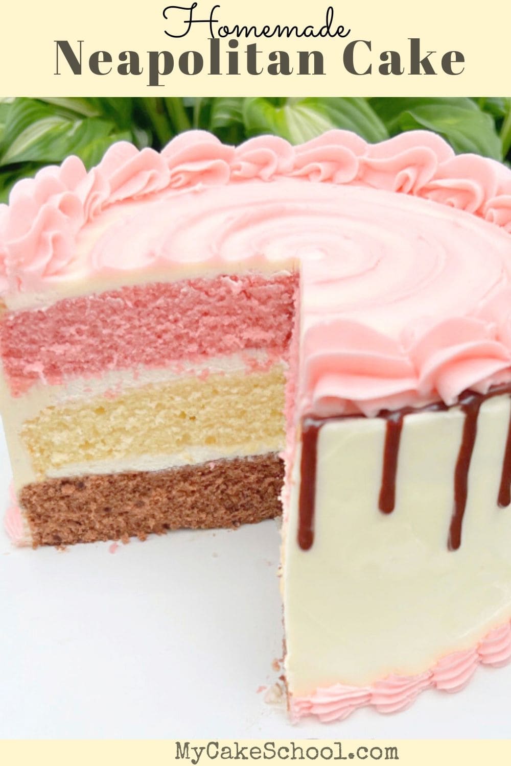Neapolitan Cake - My Cake School
