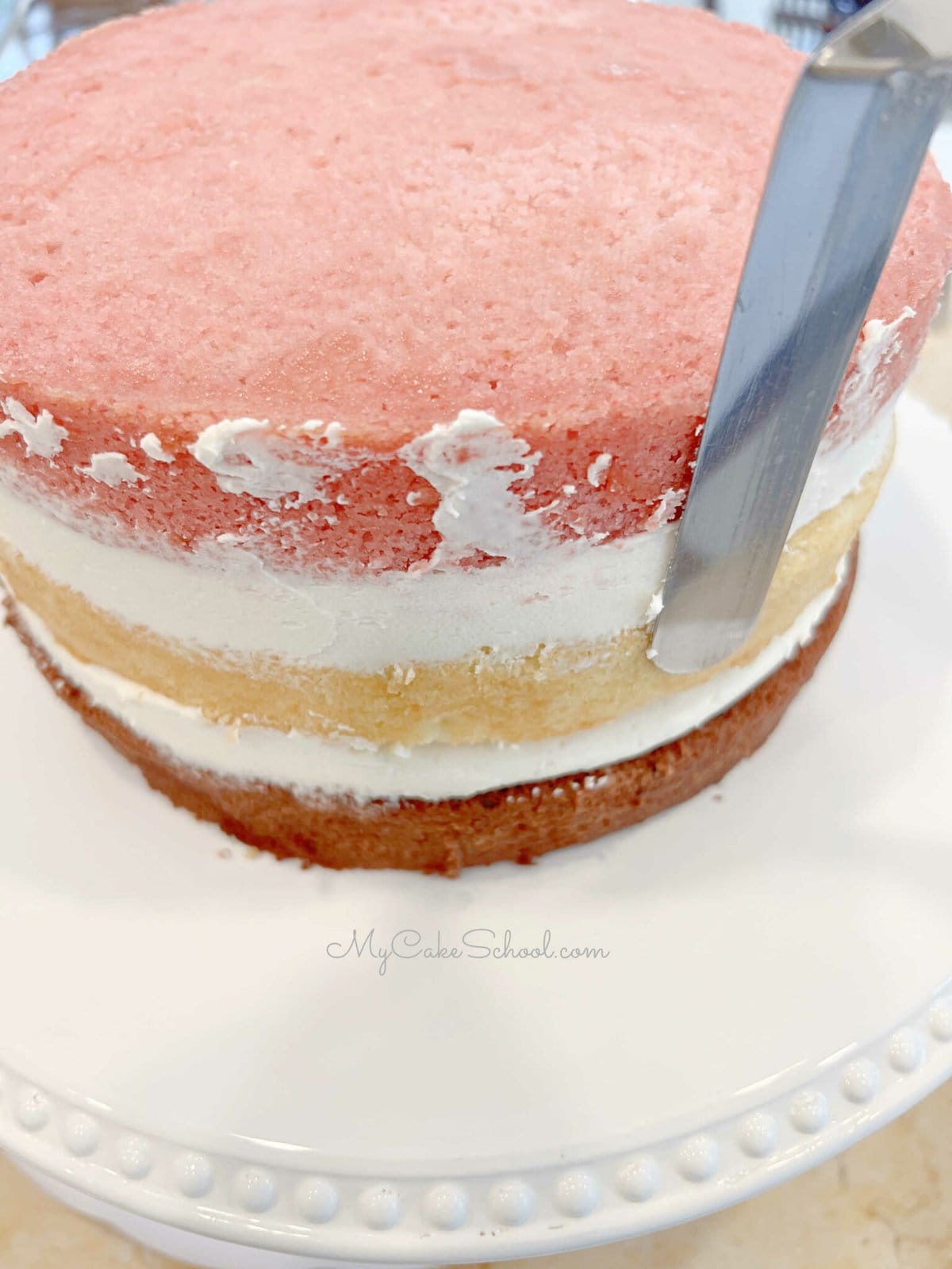 Neapolitan Cake - My Cake School