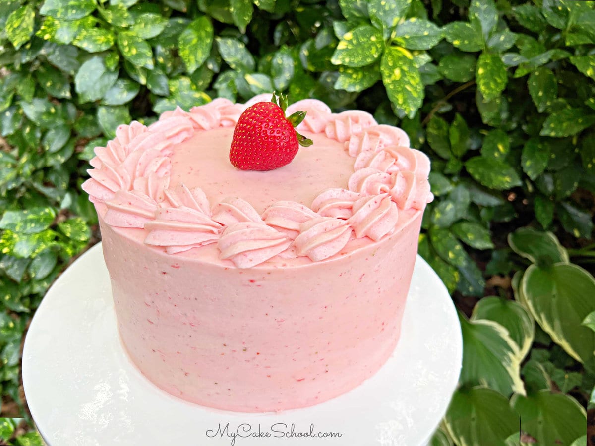 Strawberry Mousse Cake - My Cake School