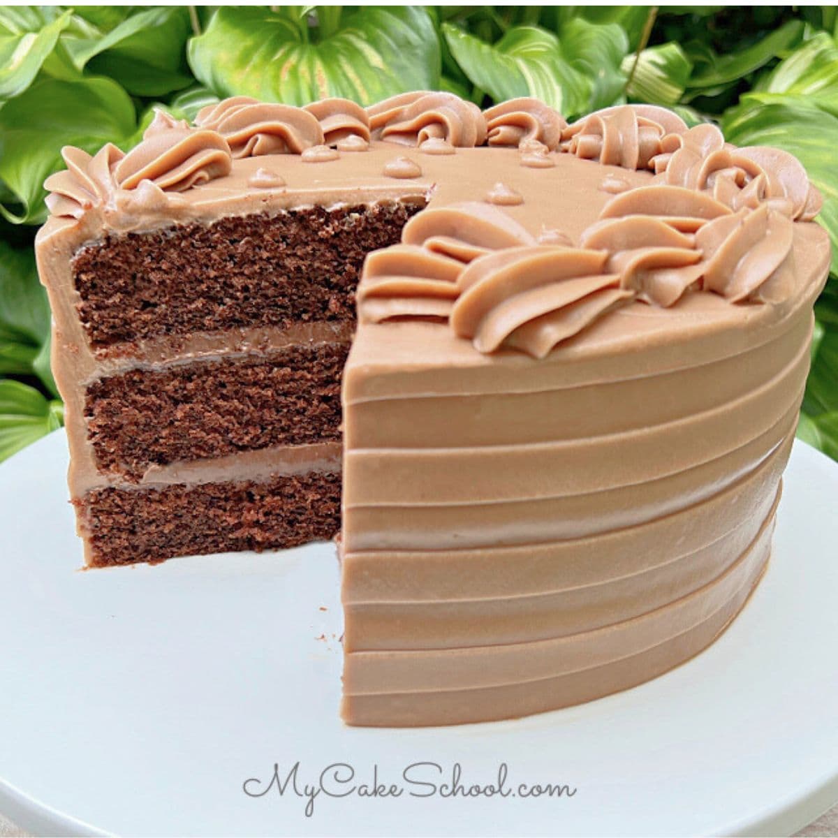 Chocolate Cream Cake - My Cake School