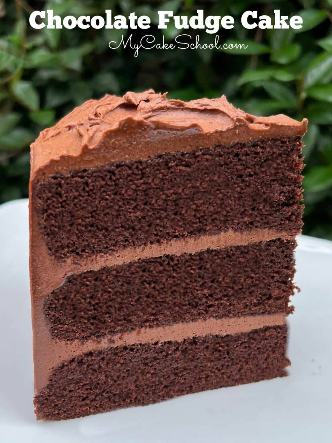 Chocolate Fudge Cake - My Cake School