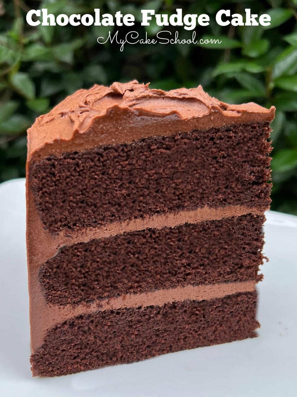 Chocolate Fudge Cake - My Cake School