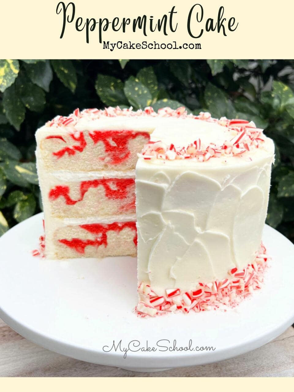 Peppermint Cake - My Cake School
