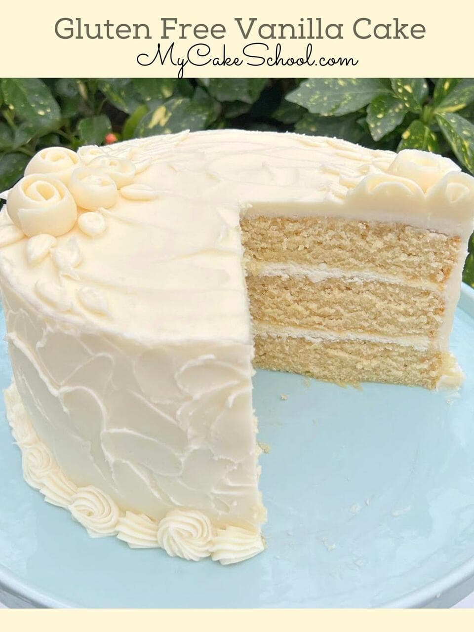 Gluten Free Vanilla Cake - My Cake School