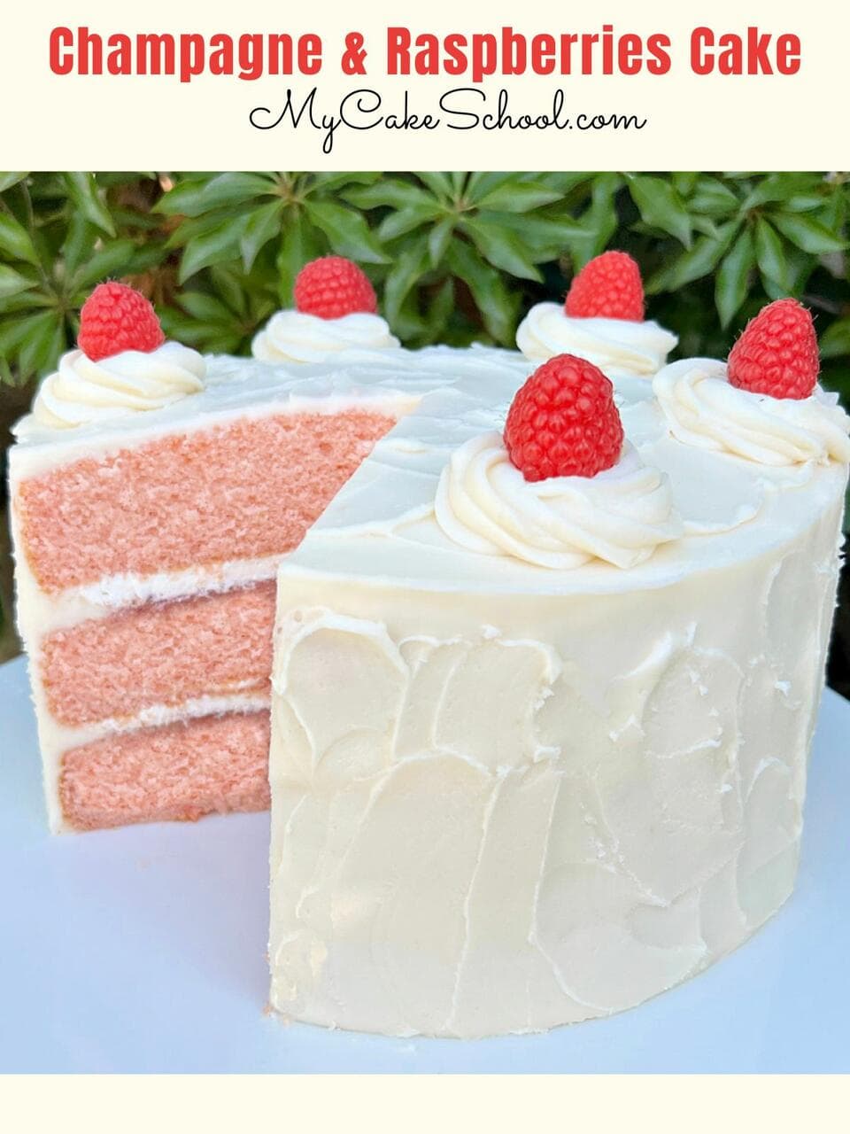 Champagne and Raspberries Cake - My Cake School