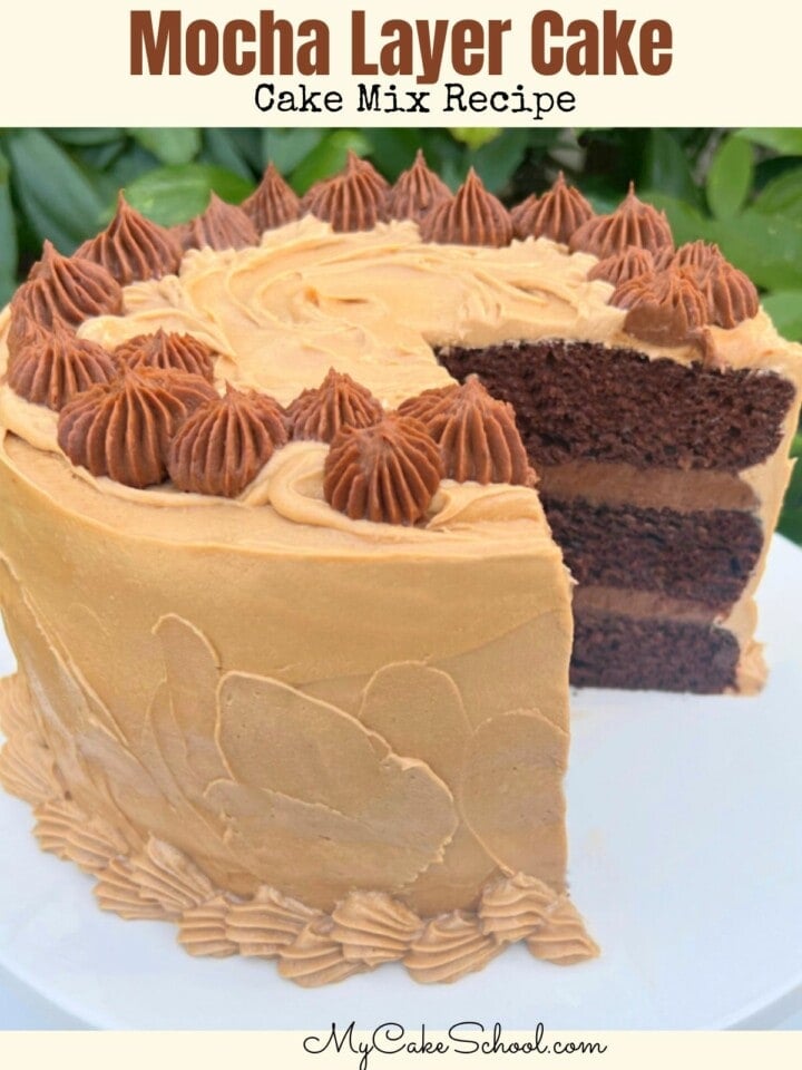 Mocha Cake (Doctored Cake Mix) - My Cake School