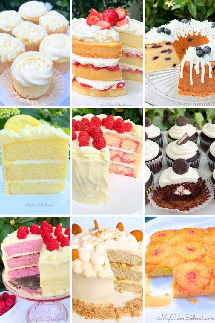 50+ Summer Cake Recipes - My Cake School